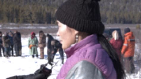 Цагдаагийн байгууллагаас Хил хамгаалах байгууллагатай хамтран хууль бусаар хуш модны самар