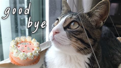 보름이 생일 케이크를 만들어줬던 윗집 친구가 이사를 갔어요 이런 이웃 다시는 못 만날 거예요ㅠ Youtube