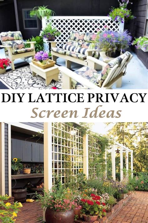 Diy Pvc Screen Privacy Lattices 35 Best Outdoor Privacy Screens Of