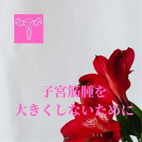 【子宮筋腫を大きくしないために】 子宮もココロもふかふかに♪子宮筋腫専門セラピスト 山田典子公式ブログ