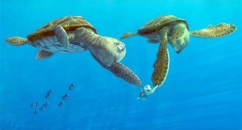 Cool Dude Finding Nemo Nemo Finding Nemo Turtle