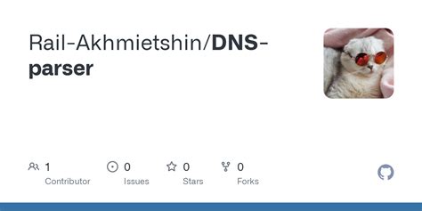 github rail akhmietshin dns parser