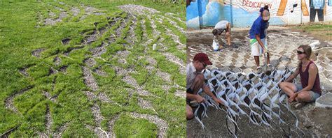 Groundhog Edaphic Effects