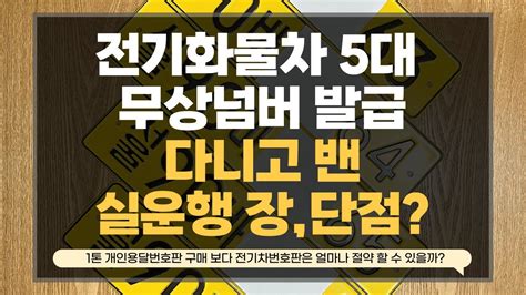 소형전기화물차영업용전기차 영업용번호판 발급 다니고밴 장단점과 선택한 이유1톤전기차 출고 Youtube