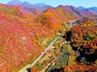 河南灵宝寺河山秋意浓 人民图片网
