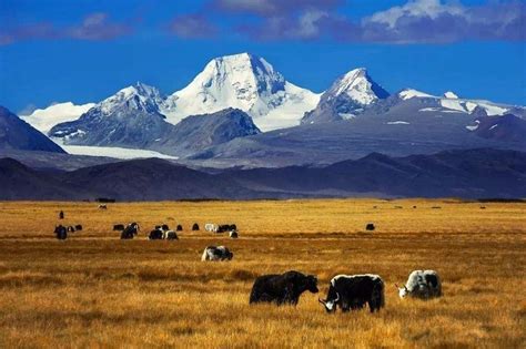 Chamdo Cultural Crossroads And Gateway To Eastern Tibet