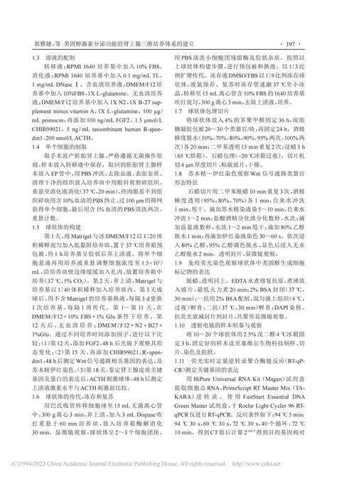 类固醇激素分泌功能的肾上腺三维培养体系的建立