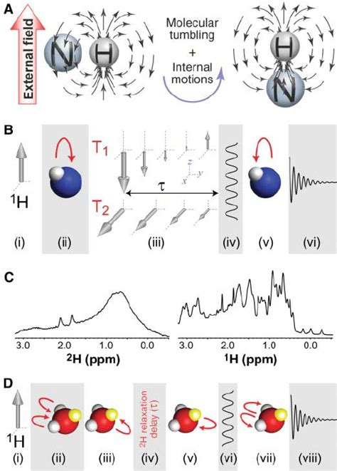 A Illustration Of The Orientation Dependent Magnetic Field Experi Download Scientific