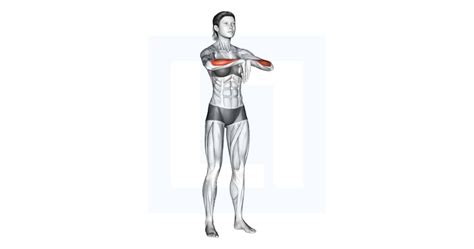 Dumbbell Reverse Wrist Curl Guide Benefits And Form
