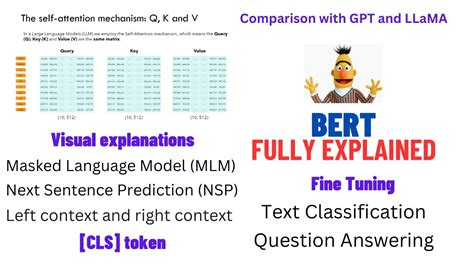 Bert Explained Training Inference Bert Vs Gpt Llama Fine Tuning