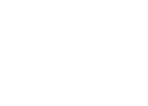 Burlesque And Cabaret The Dollface Dames United States