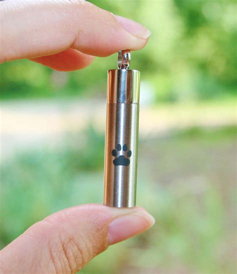 Urn Paw Print Vial Cremation Pendant Or Necklace Holds Cremains Ashes