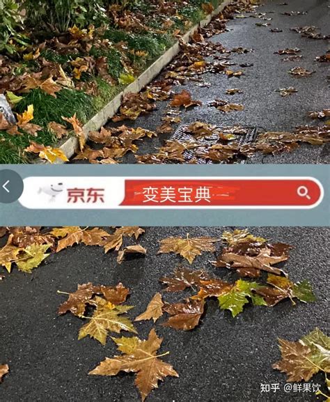 朋友来我家吃饭，居然说要搬来一起住 知乎