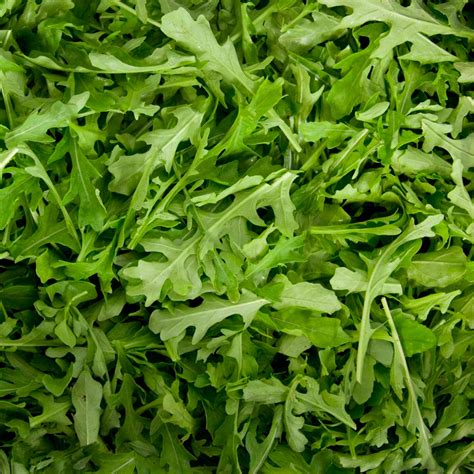 Arugula Verdeyá