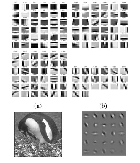5 Textons Derived By K Means Clustering Applied To 8 × 8 Image Patches Download Scientific