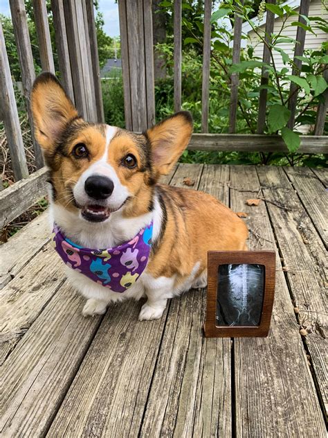 Happy Momma To Be 🥰 Scrolller Happy Momma To Be 🥰 Scrolller