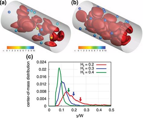Phlebotomy Exam Flashcards Quizlet