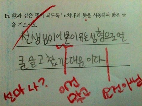 이 문제가 틀린 이유 에누리 쇼핑지식 자유게시판