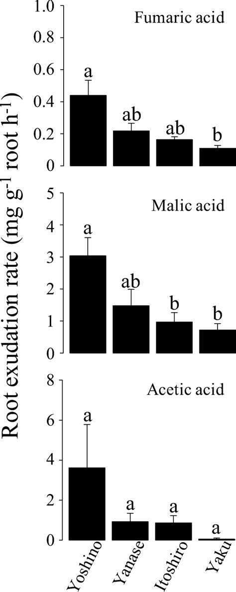 Differences In The Root Exudation Rates Of Fumaric Malic And Acetic