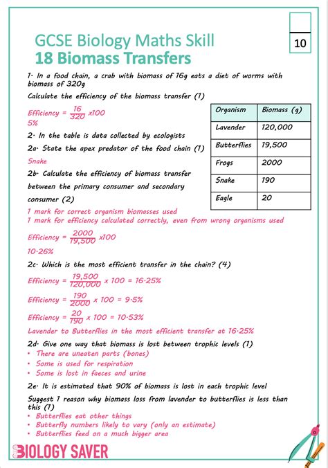 Gcse Biology Maths Skill 18 Biomass Transfers Teaching Resources
