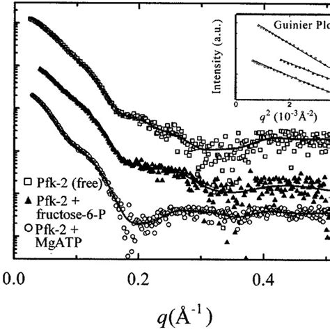Distance Distribution Function For Free And Ligandbound Pfk 2 The Download Scientific Diagram