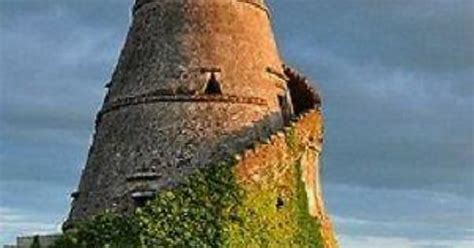 Round With Pointy Bits Imgur