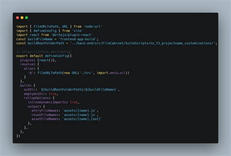 Getting Started Integrate Frontend Vite Reactjs With NetSuite