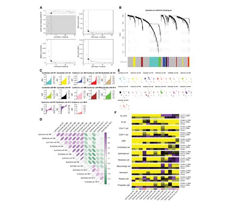 Hdwgcna Has Identified The Key Epithelial Cell Genes In The