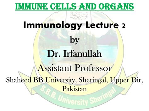 Pdf Immune Cells And Organs