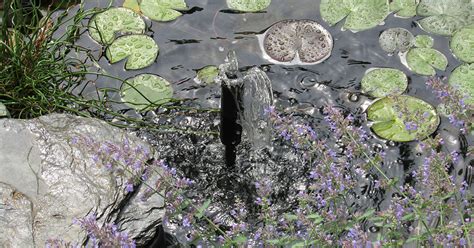 The Best Pond Cleaning In Gulf Breeze Fl Panhandle Ponds