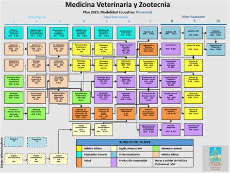 Mapa Curricular Mvz2023 08junio2023cambiosactual 23junio2023 Descargar Gratis Pdf