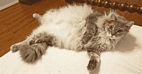 How To Enhance User Engagement With Cognitive Computing Cognitive Mill