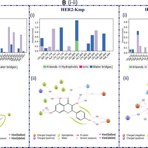 Protein Ligand Interaction Profile During The Course Of Md Simulations