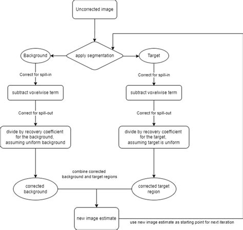 Flow Chart Demonstrating The Steps Involved In The Iterative Single