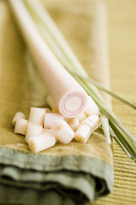 What The Hell Is Lemongrass Anyway Huffpost Life