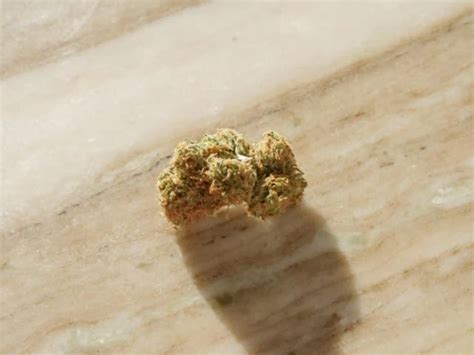 Why Is Dispensary Weed So Dry