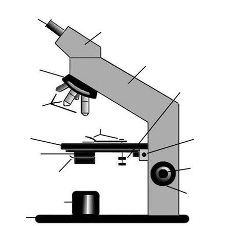Microscope Diagram Quizlet