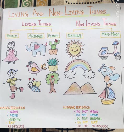 Living And Non Living Things Chart Artofit