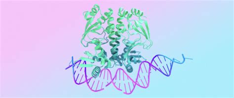 Solving The Protein Folding Problem A Journey From Experiments To Ai Algorithms Scientia Magazine
