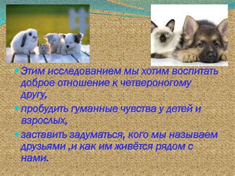 Мы в ответе за тех кого приручили презентация онлайн