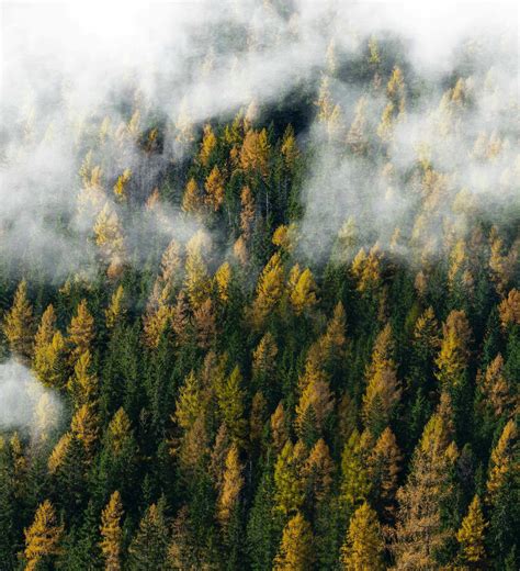 Implement Consulting Group In Zurich Implement