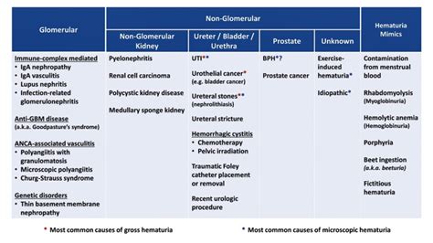Differential Diagnosis