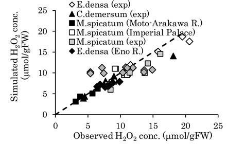 The Comparison Of Total H2O2 Concentration Between Simulation And Download Scientific Diagram