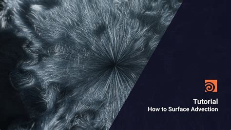 How To Surface Advection Houdini Tutorial Beginner Hip File Artofit