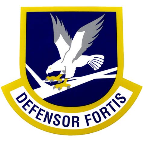 Defensor Fortis Air Force Security Force Clear Decal Usamm