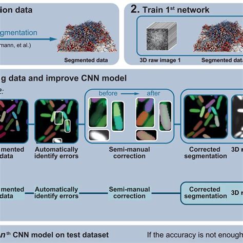 Workflow Employed For Obtaining Convolutional Neural Network Cnn