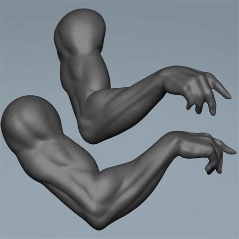 Artstation Male Arm Sculpts Anatomy Poses Human Anatomy Art