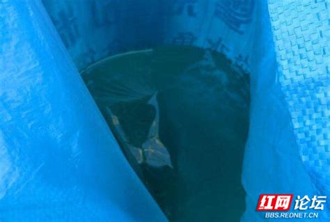给家门口这些植物做了个spa简单实用你一秒就会