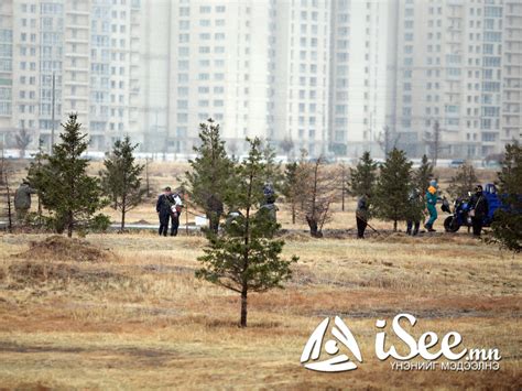 Ирэх долоо хоногийн эхээр ихэнх нутгаар ЦАС орж ХҮЙТЭРНЭ Isee Mn