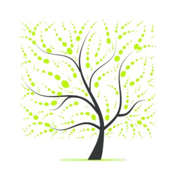 Tree Trunk Outline PNG Transparent Images Free Download Vector Files Pngtree